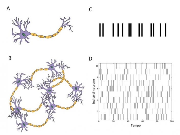 Neuroscienze – CNR-ISC